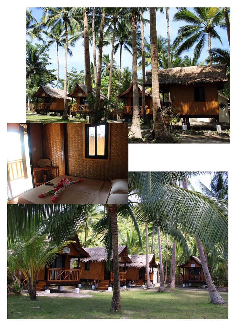 Accommodation - ocam-ocam.com